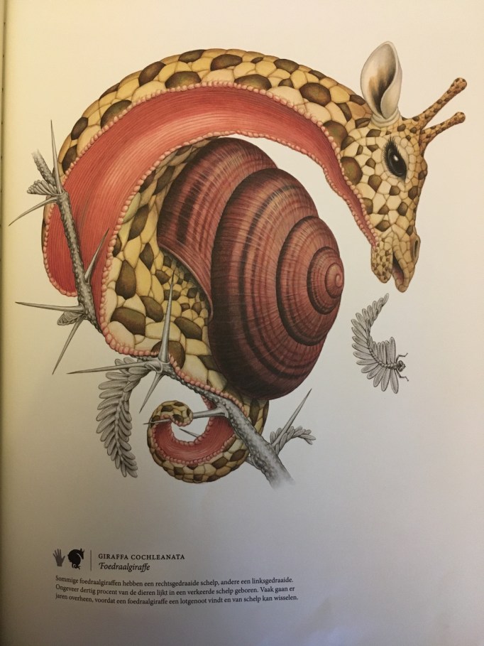 Terra Ultima – Raoul Deleo | Lalagè leest